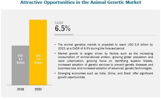 Animal Genetics Market - Global Key Players, Trends, In...