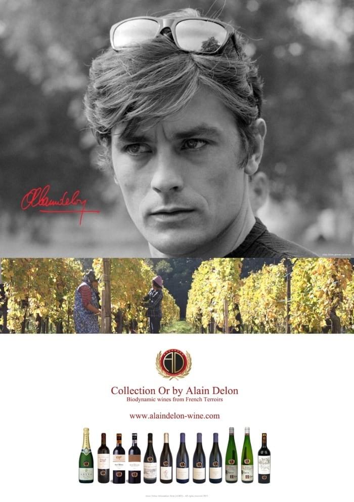ALAIN DELON - Brand Official Website