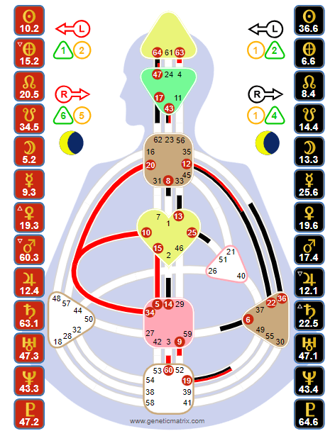 HUMAN DESIGN SYSTEM - HUMAN DESIGN