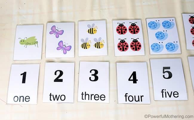 Flash Cards