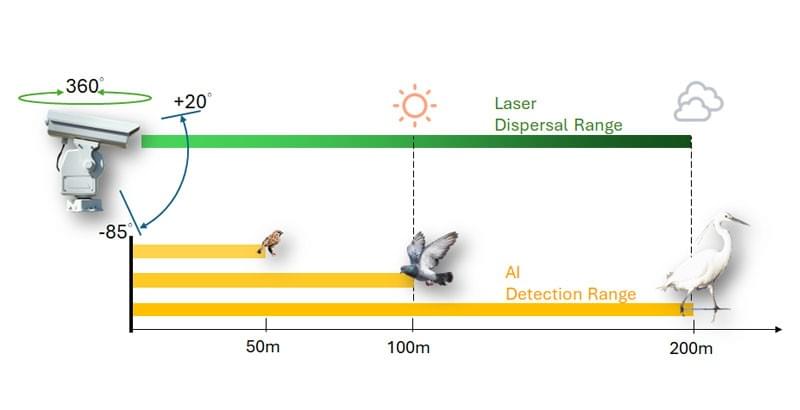AI Bird Laser: Intelligent Wild Bird Deterrence for Farms