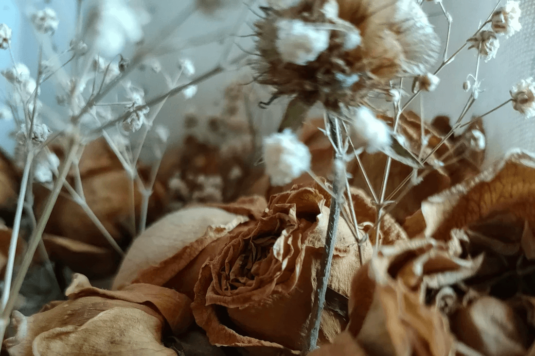 Unique Large Dried Flower Bouquet Styles for Any Occasi...