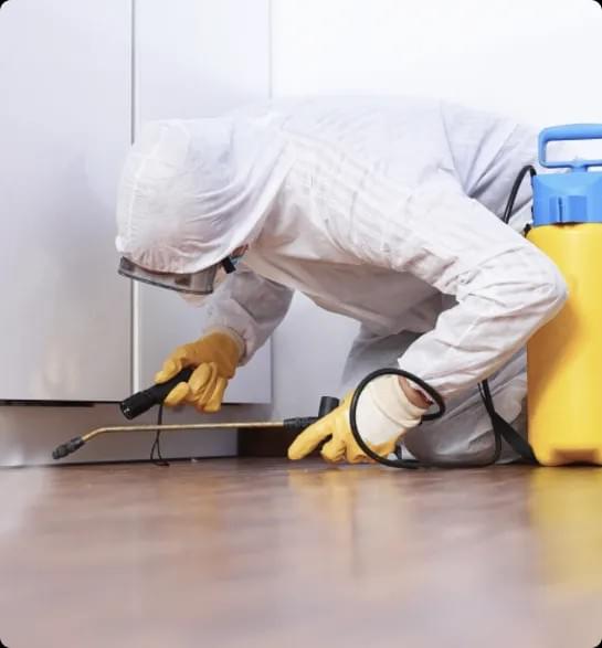 Pest Control Darwin: Quality Solutions for Every Pest T...