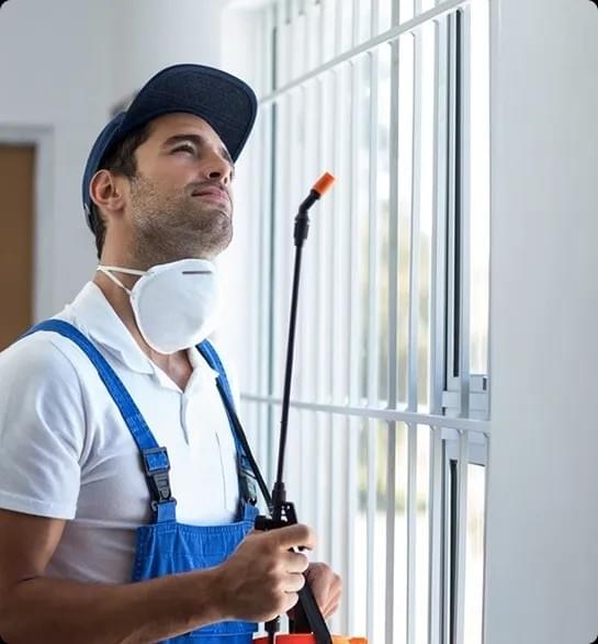 7 Signs You Need Pest Control in Darwin Right Now - pes...