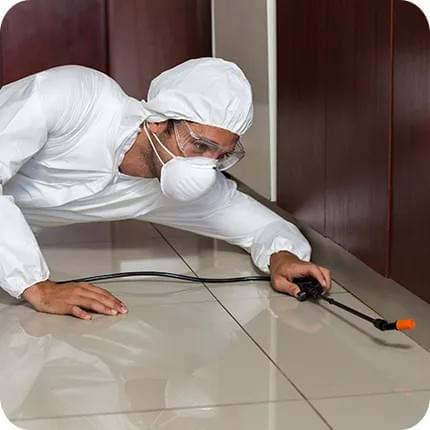 Darwin’s #1 Choice for Pest Control Services - pest con...