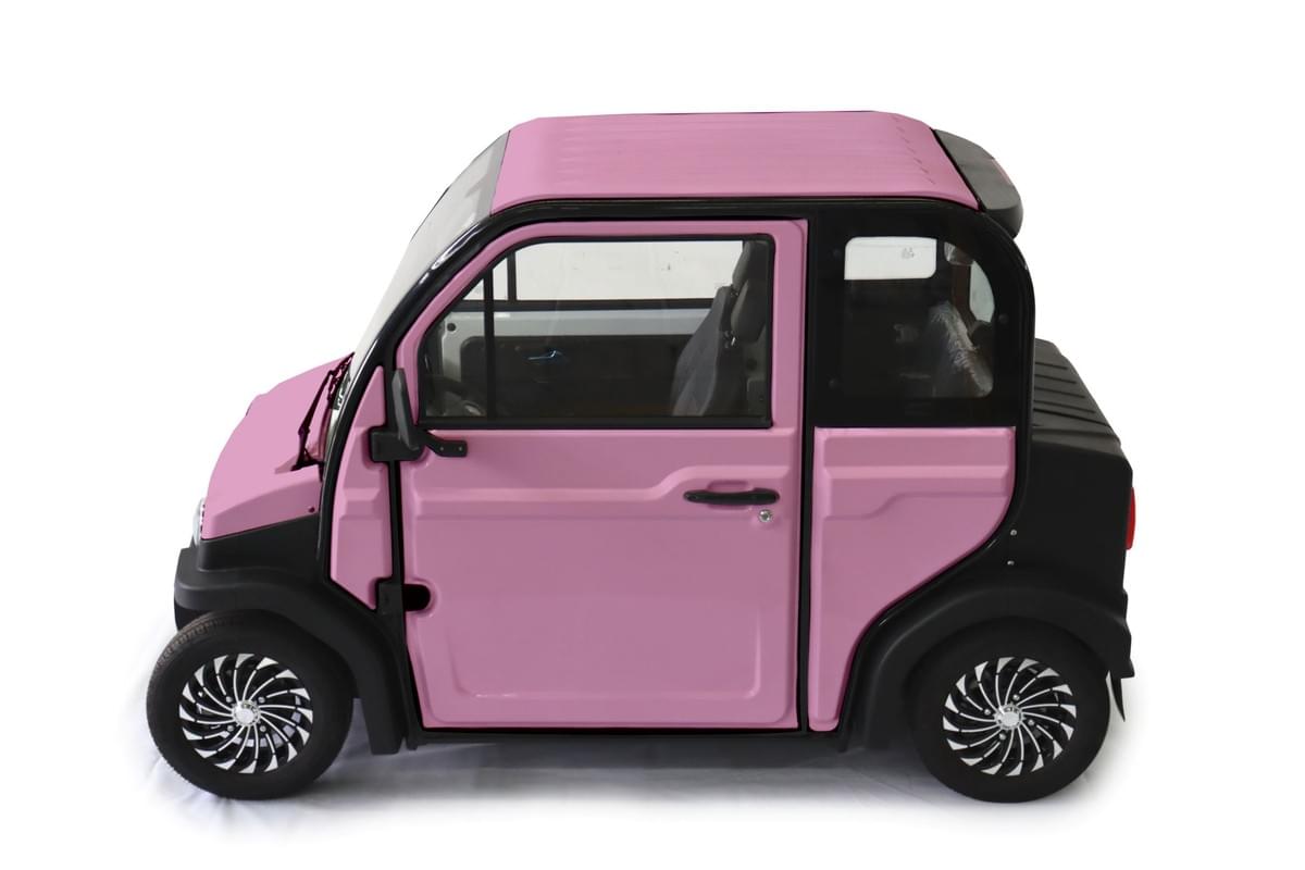 Electric Micro & Commercial Vehicle Manufacturer