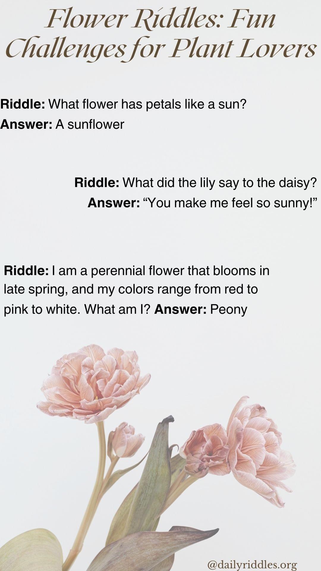 150 Flower Riddles: Fun Challenges for Plant Lovers