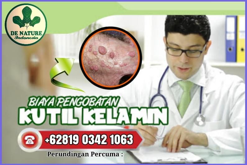 Jenis Ubat Ketuat tumbuh di kawasan dubur wanita hamil ...