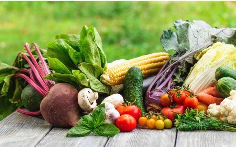 From Farm to Table vom Laden zum Label - THOUGHTS OF TH...