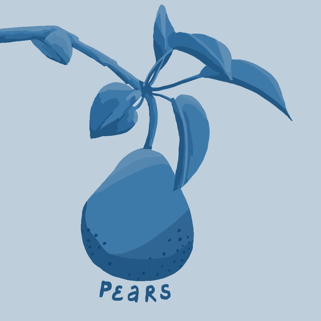 HOW THE PEARS PROJECT FOSTERS RESILIENCE AND COMMUNITY ...