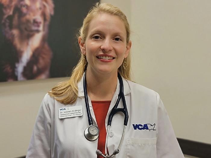 Town & Country Veterinary Hospital in Media & Aston & Delaware County, PA