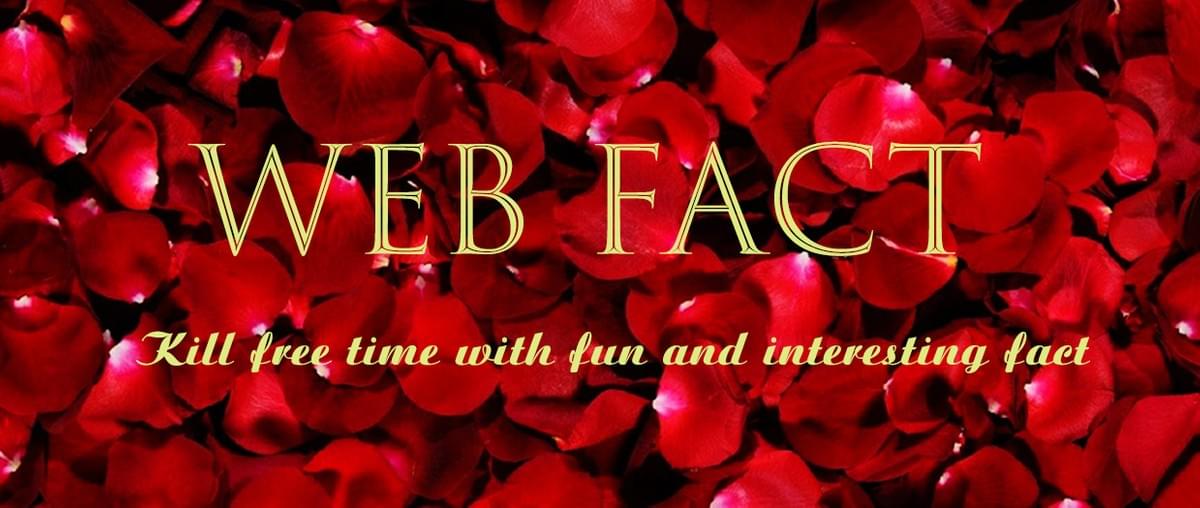 20 Fascinating Facts About the Color Pink