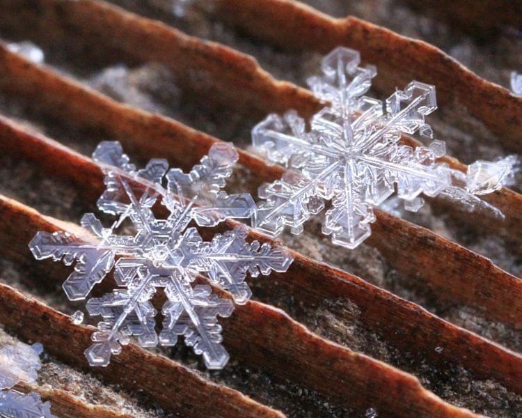 Amazing Facts About Snowflakes amazing-facts-about-snowflakes