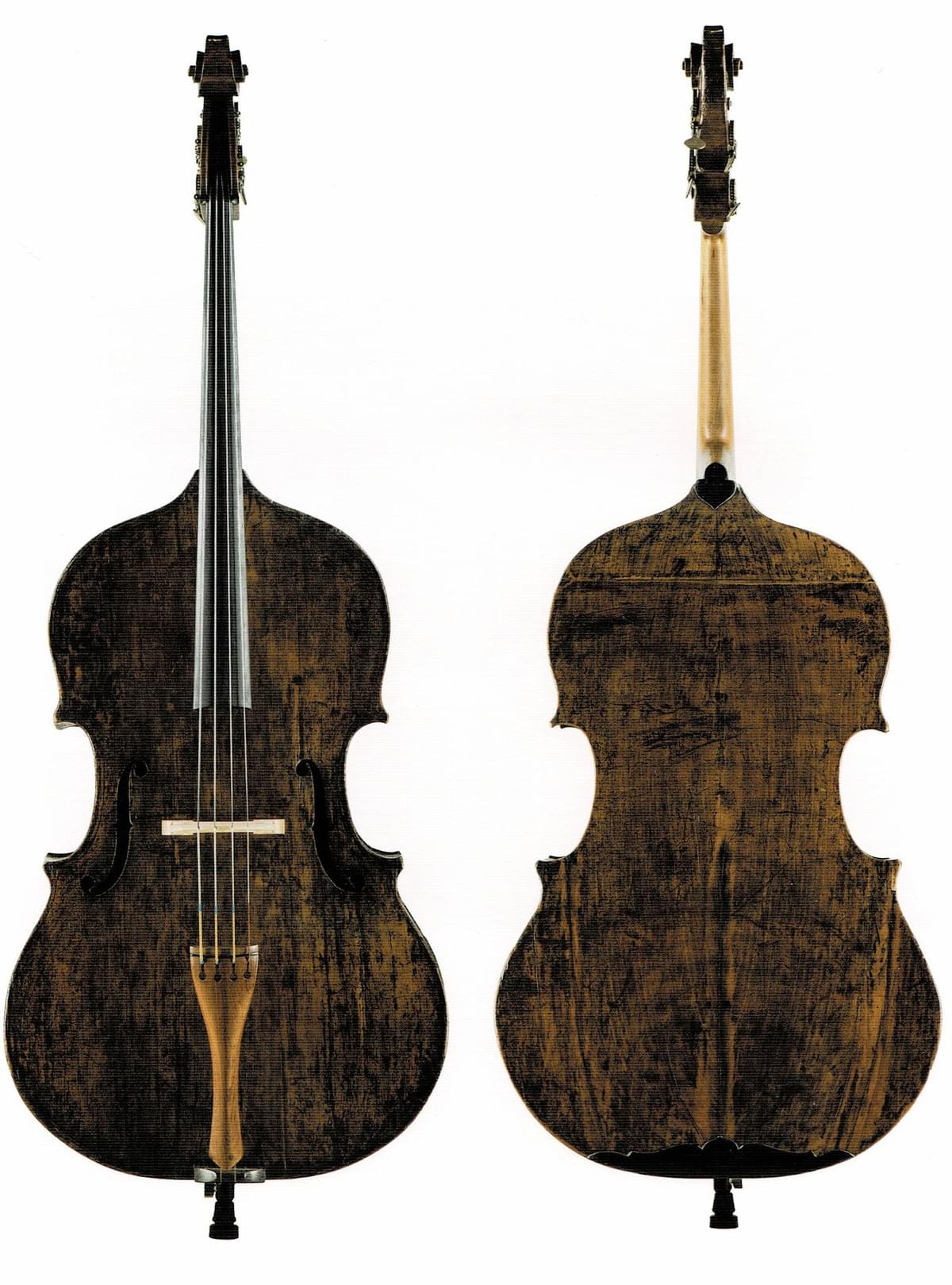 Violoneという低音弦楽器