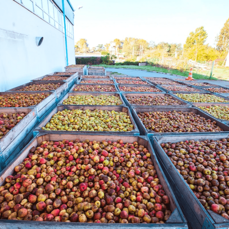 Offre de prestation à façon réalisée par la Cidrerie HIC