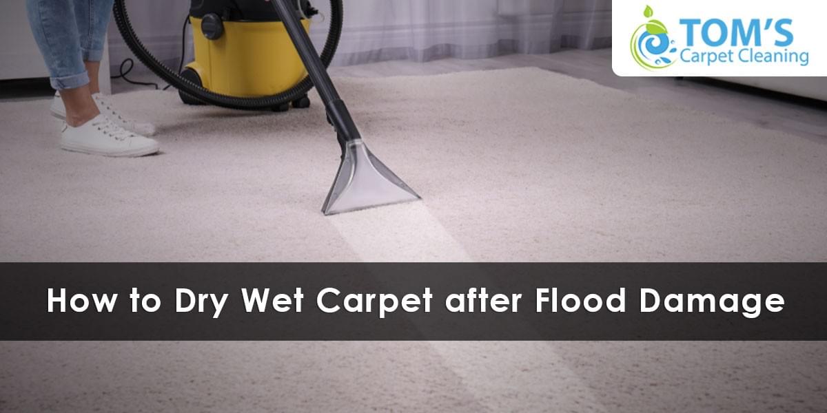 How to Dry Wet Carpet after Flood Damage