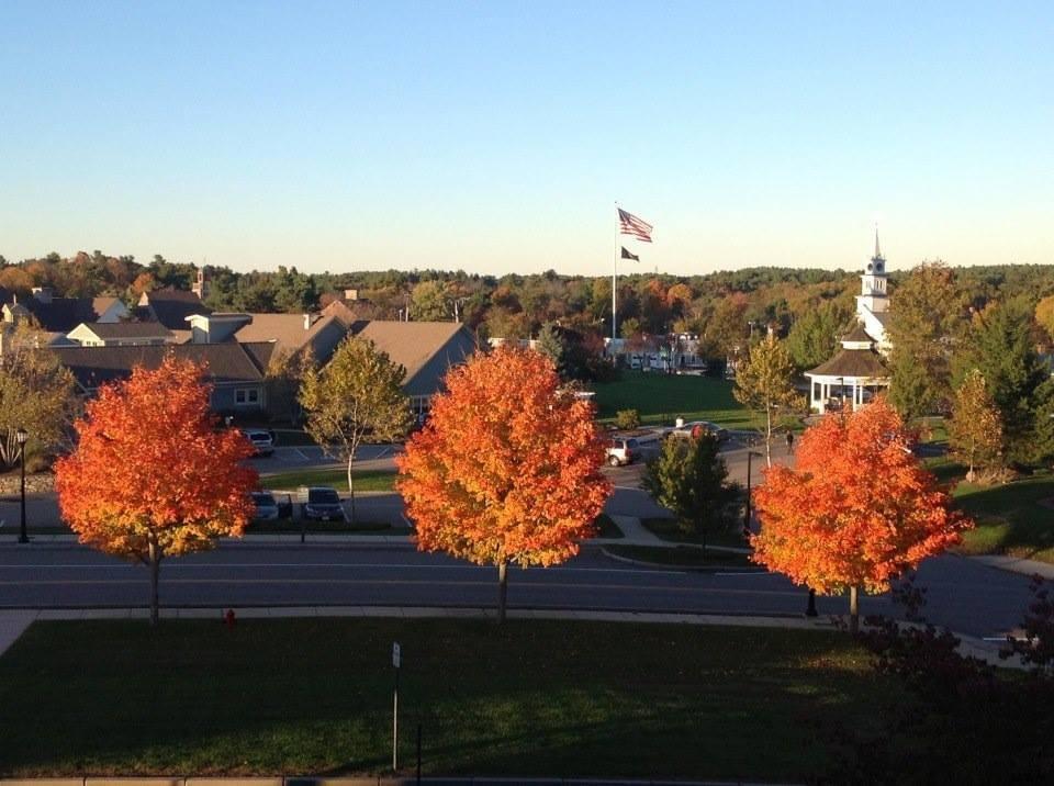 What Makes Norfolk Awesome