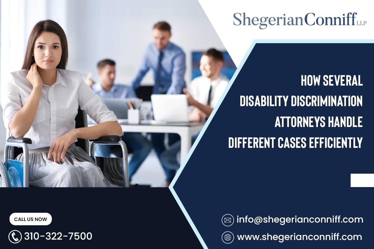 How Several Disability Discrimination Attorneys Handle ...