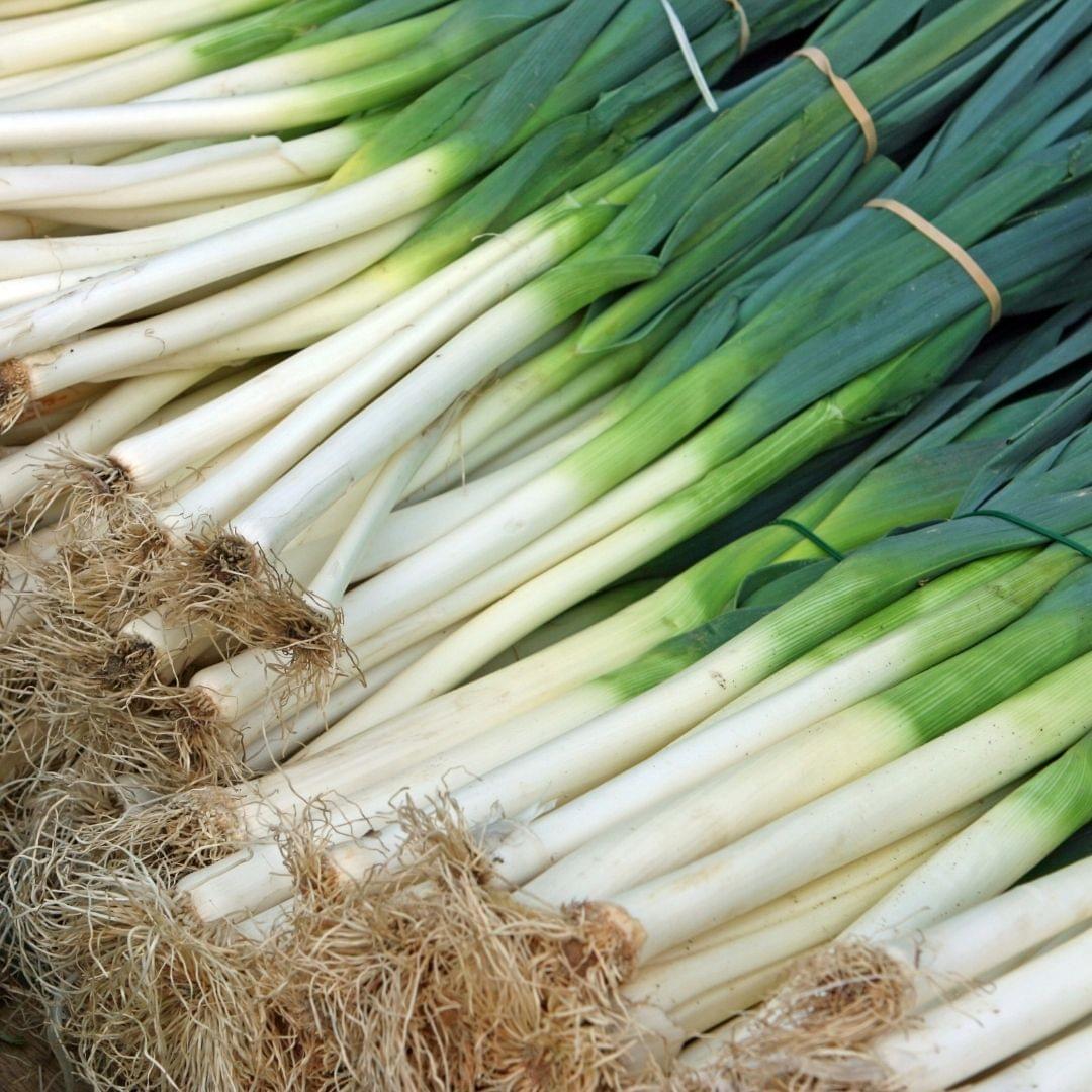 SINOFROST | Wholesale Exporter&Supplier of Bulk IQF Frozen Vegetables ...