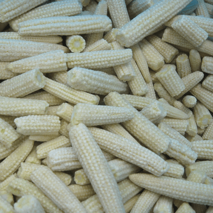 Premium IQF Frozen Baby Corns Bulk Supplier | SINOFROST - Wholesale ...