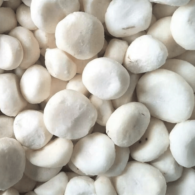 Bulk IQF Frozen Water Chestnuts Supplier | SINOFROST - Wholesale ...