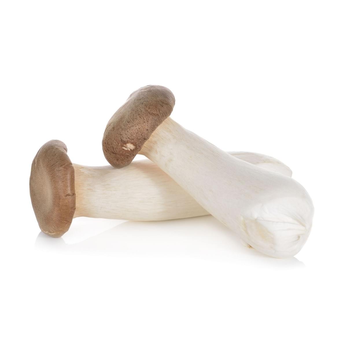 Premium Bulk IQF Frozen Mushrooms Wholesale Supplier | IQF Frozen ...