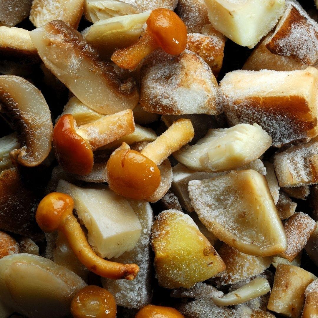 Premium Bulk IQF Frozen Mushrooms Wholesale Supplier | IQF Frozen ...
