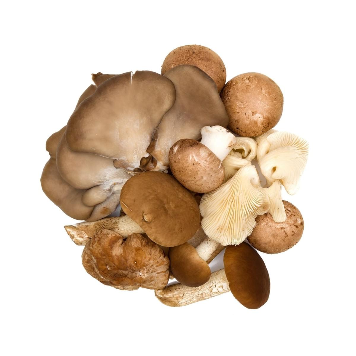 Premium Bulk IQF Frozen Mushrooms Wholesale Supplier | IQF Frozen ...