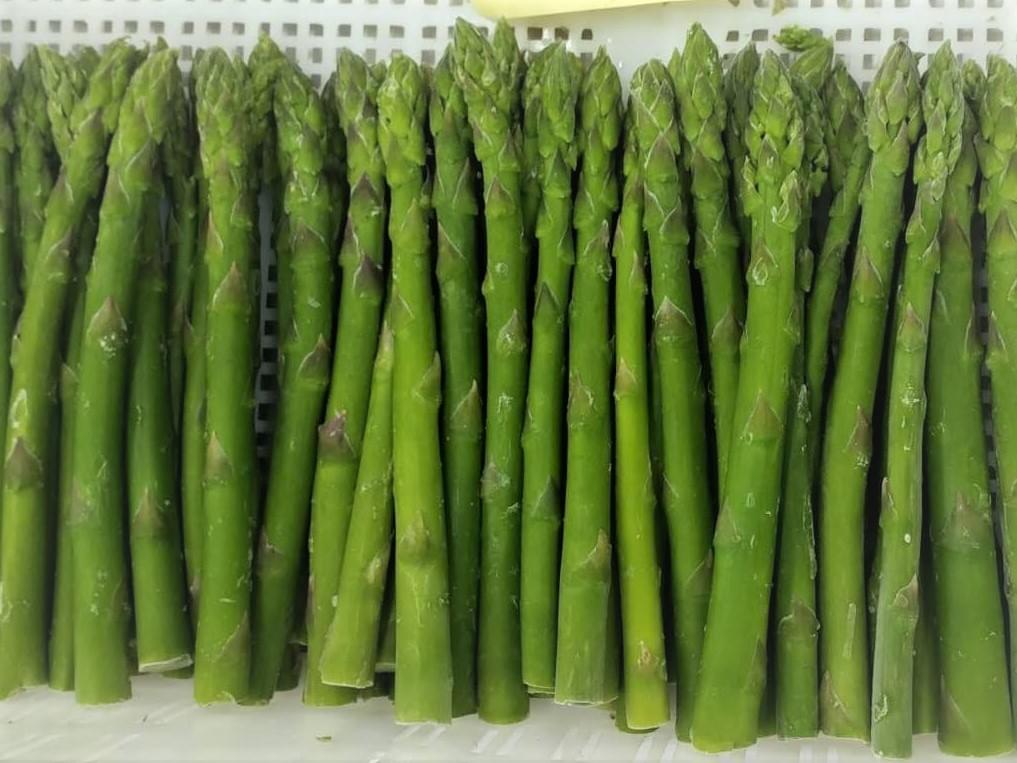 IQF Green Asparagus Spears