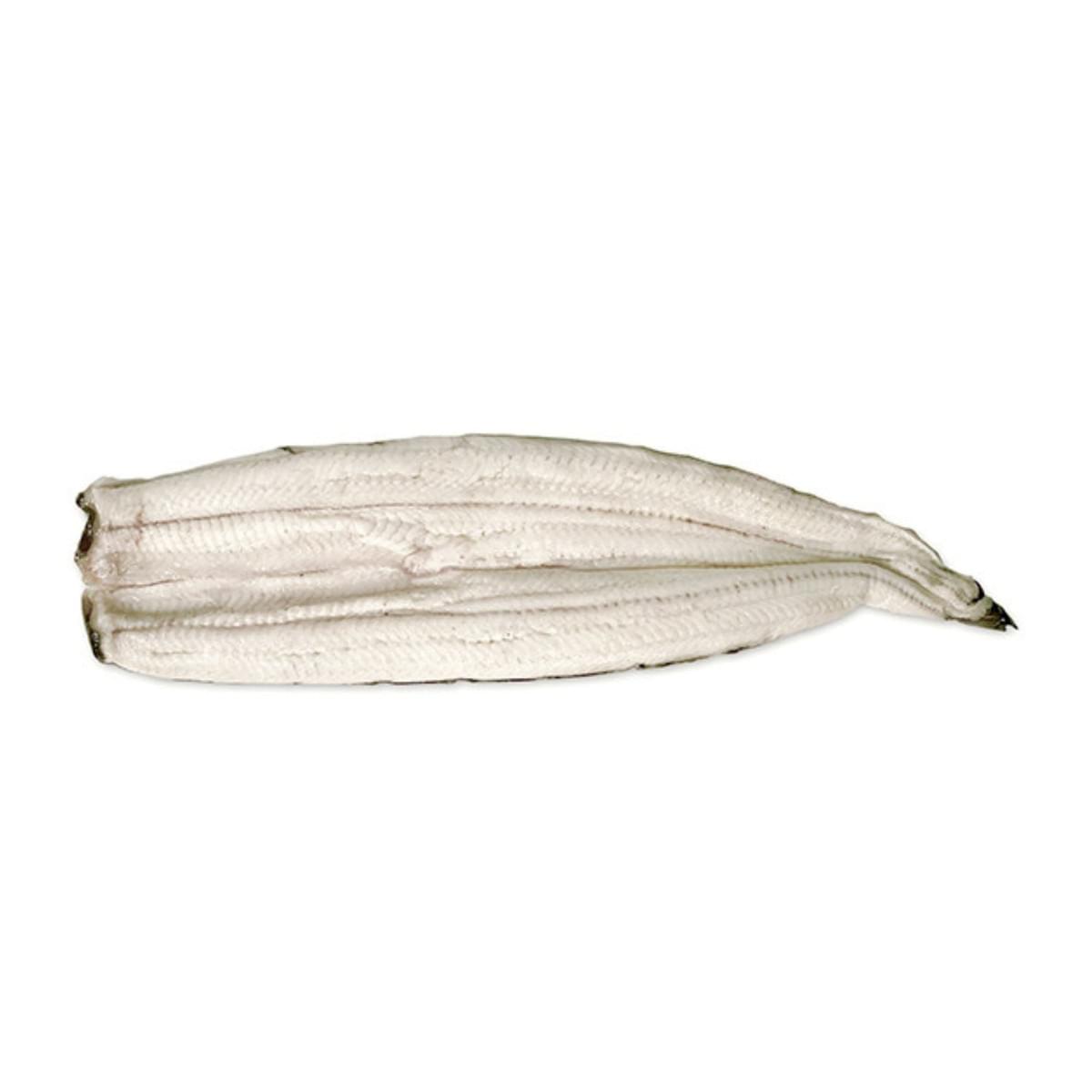 Japanese Sushi Food Wholesale Supplier | Unagi Kabayaki, Frozen Eel ...