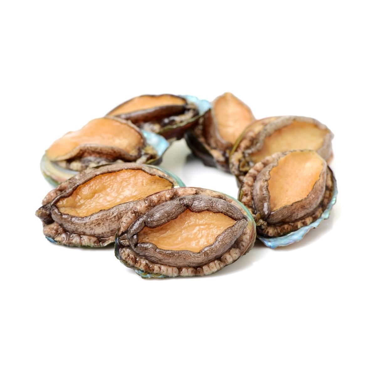 Japanese Sushi Food Wholesale Supplier | Unagi Kabayaki, Frozen Eel ...