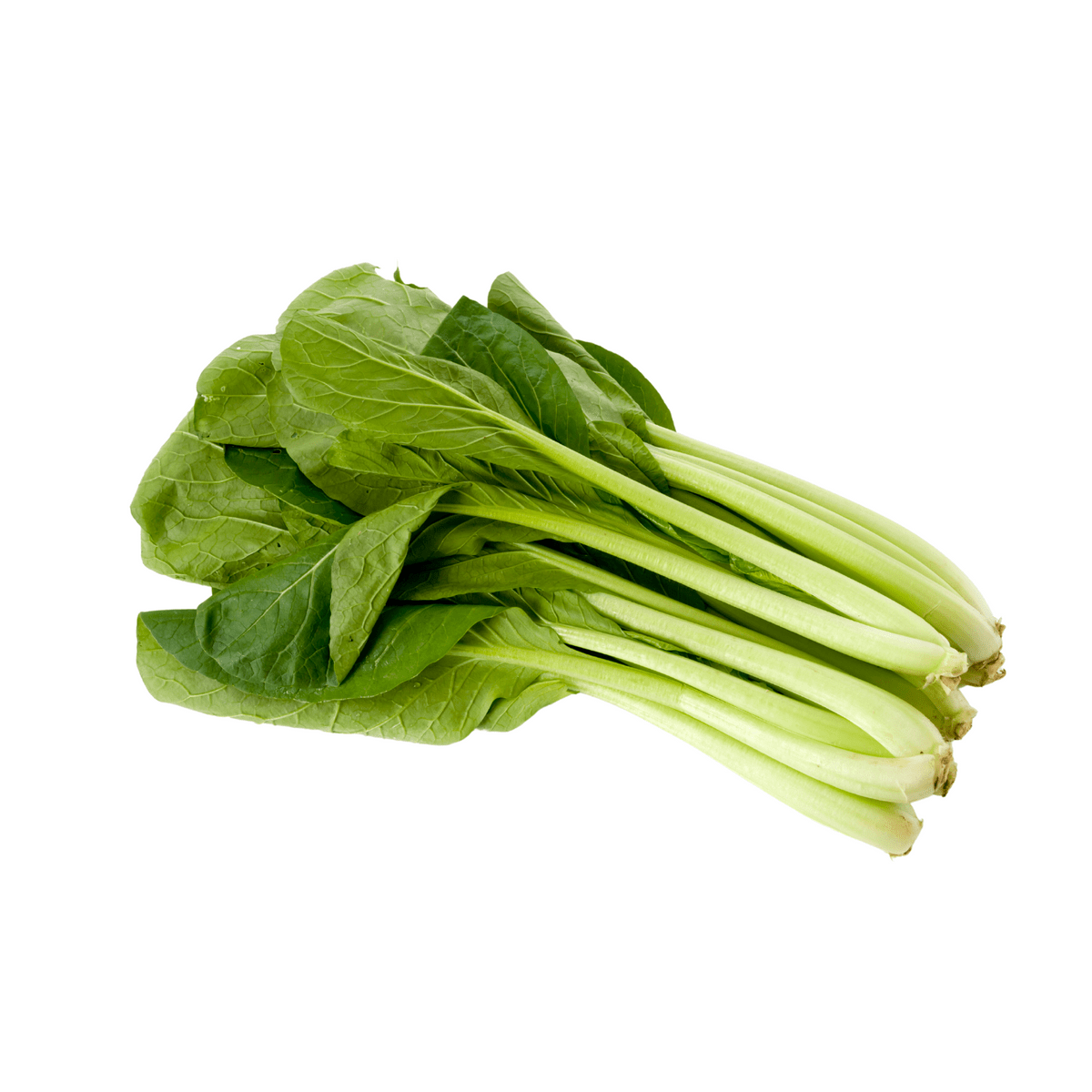 Japanese Sushi Food Wholesale Supplier | Unagi Kabayaki, Frozen Eel ...