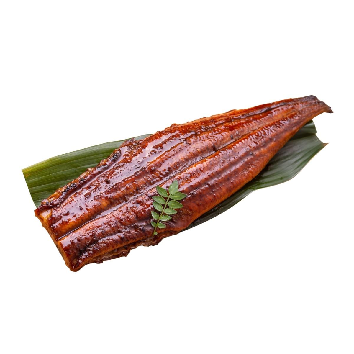 Japanese Sushi Food Wholesale Supplier | Unagi Kabayaki, Frozen Eel ...