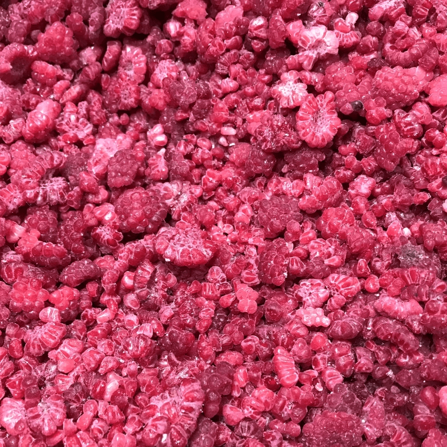 Bulk IQF Frozen Red Raspberries Supplier - IQF Raspberry Crumbles ...