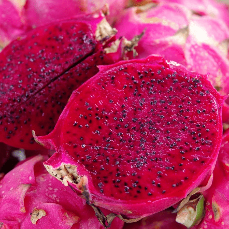 Wholesale IQF Frozen Red Dragon Fruit Bulk Supplier | IQF Fruit ...