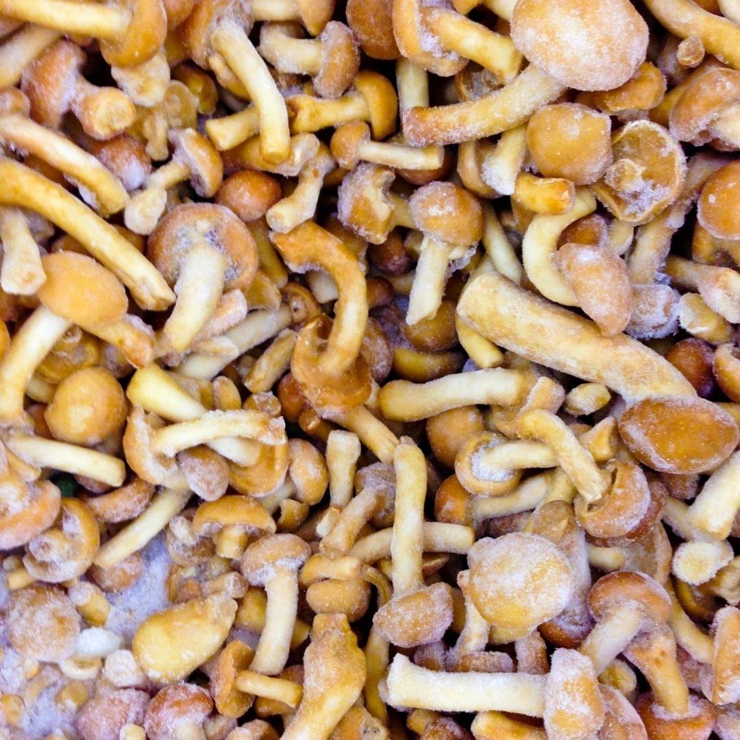 Premium Bulk IQF Frozen Mushrooms Wholesale Supplier | IQF Frozen ...