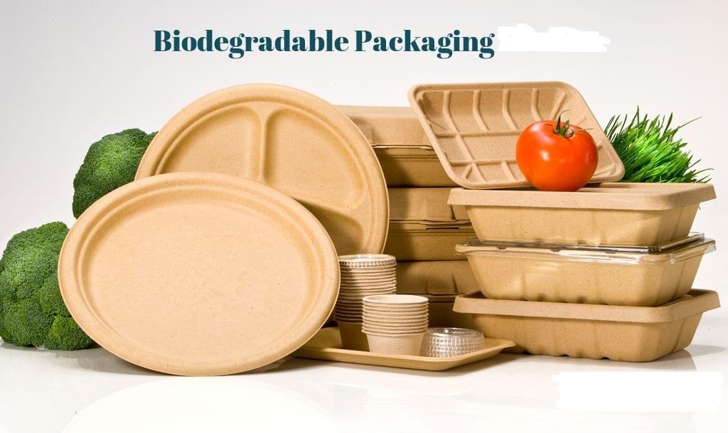 Why We need to Use Biodegradable Packaging instead