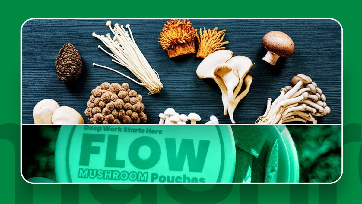 7 Powerful Functional Mushrooms and What They Do for Yo...