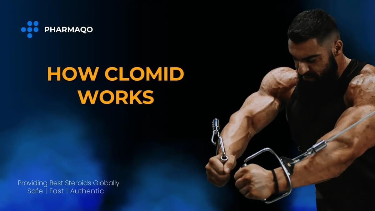 Clomid: A Complete Guide to Boosting Fertility