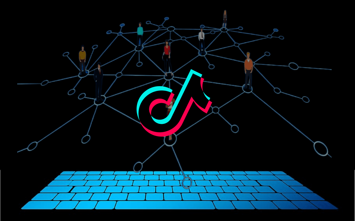 TikTok Security Risks: What You Need to Know - Article...