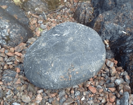 Hugh Miller (Cromarty Stone) - Scottish