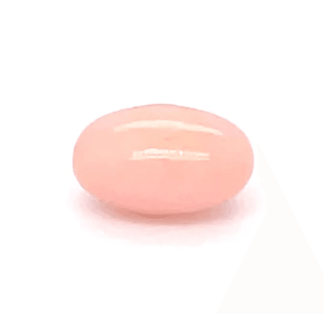 Conch Shell Pearls Bahamas