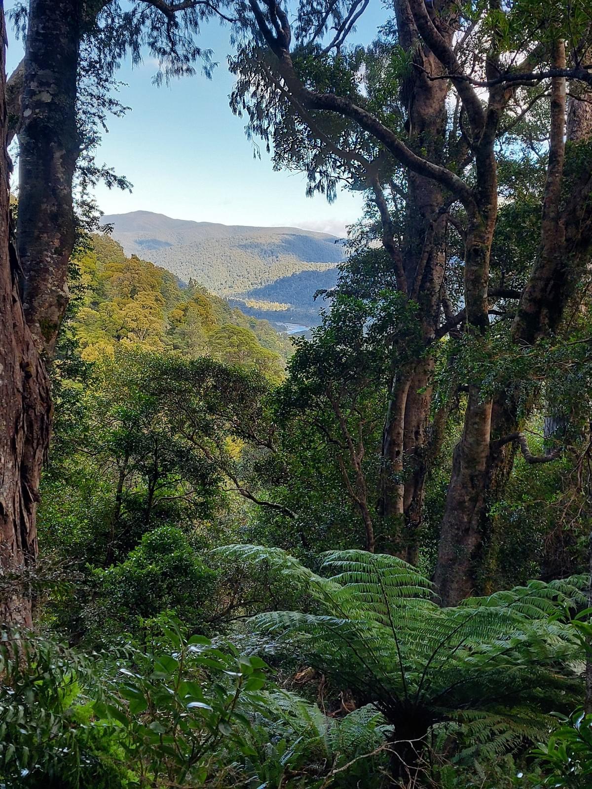 Totara Flats