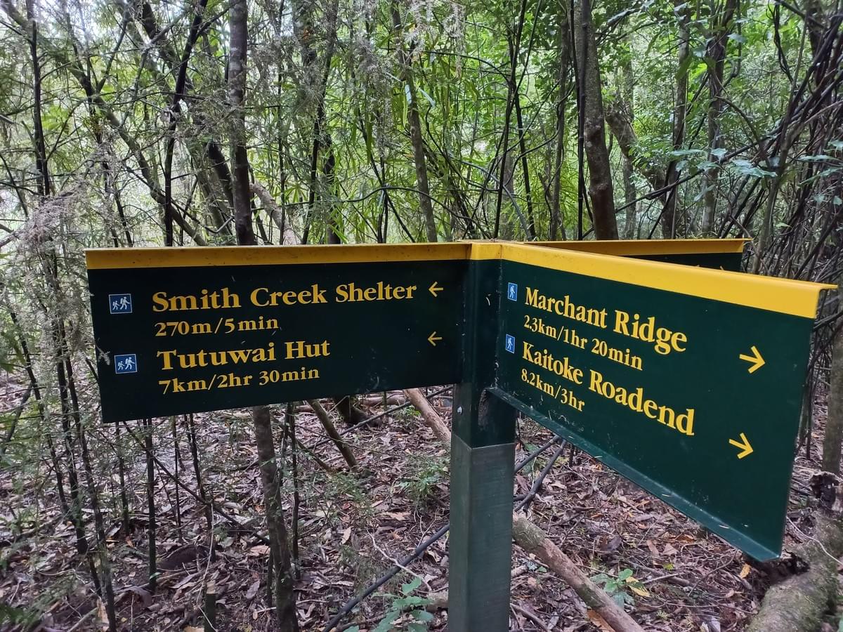 Dobson Loop Track