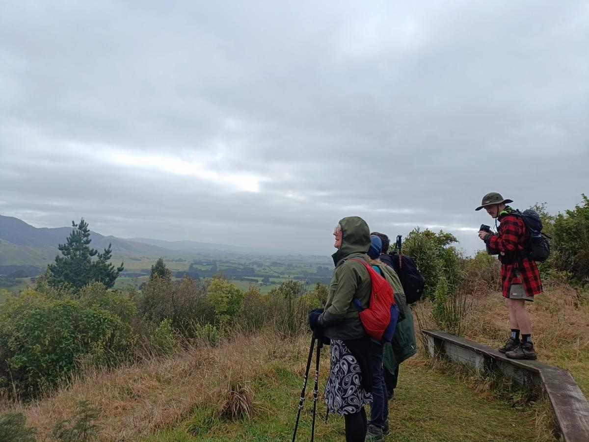 Mount Bruce