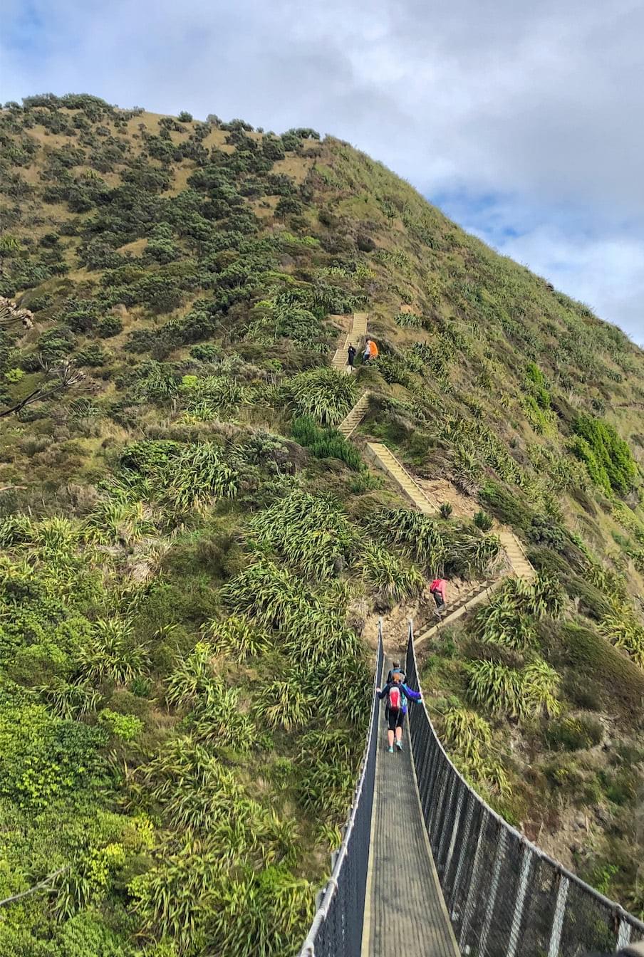 Paekakariki Escarpment Walk