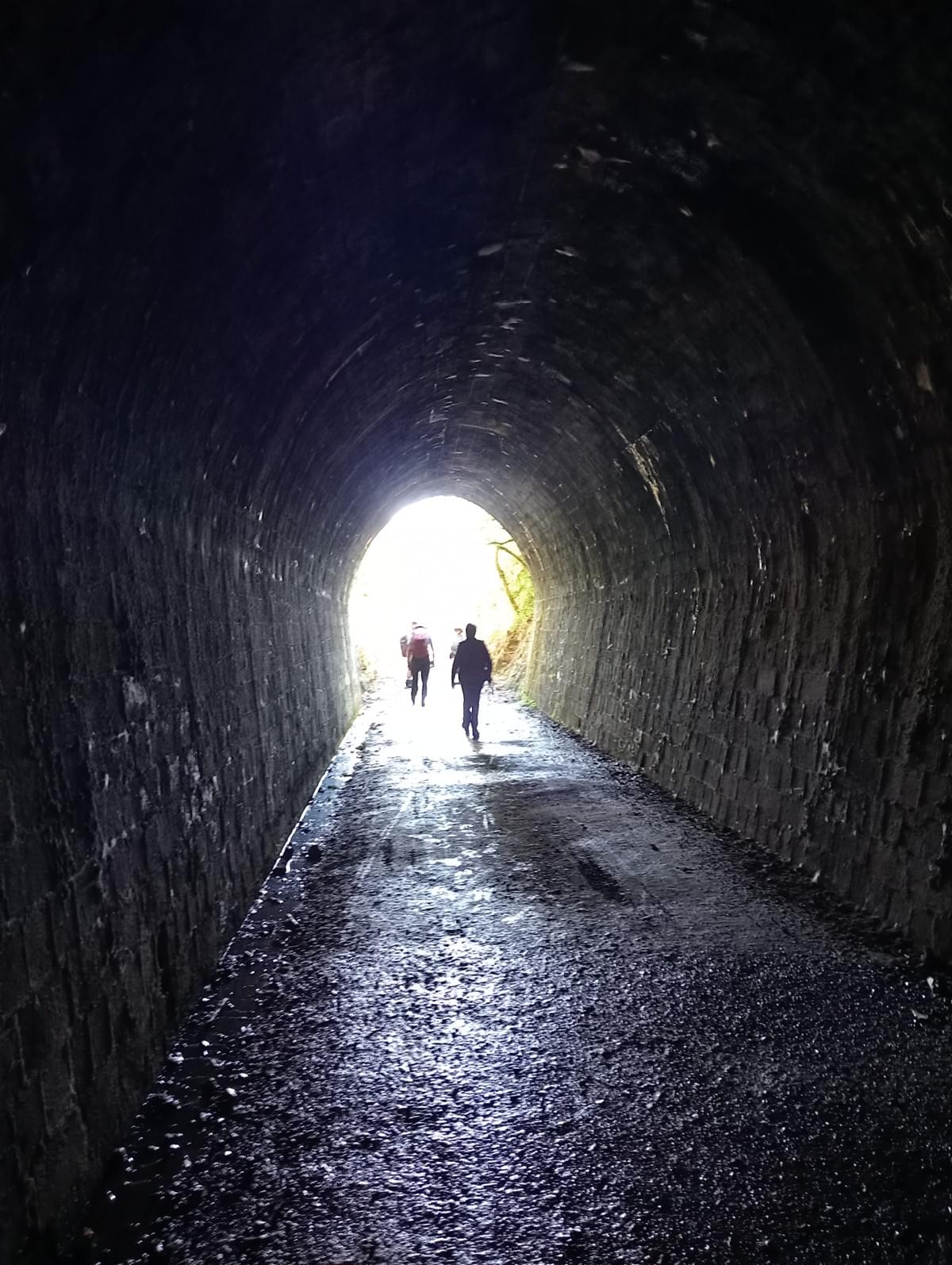 Tunnel Gully Trip