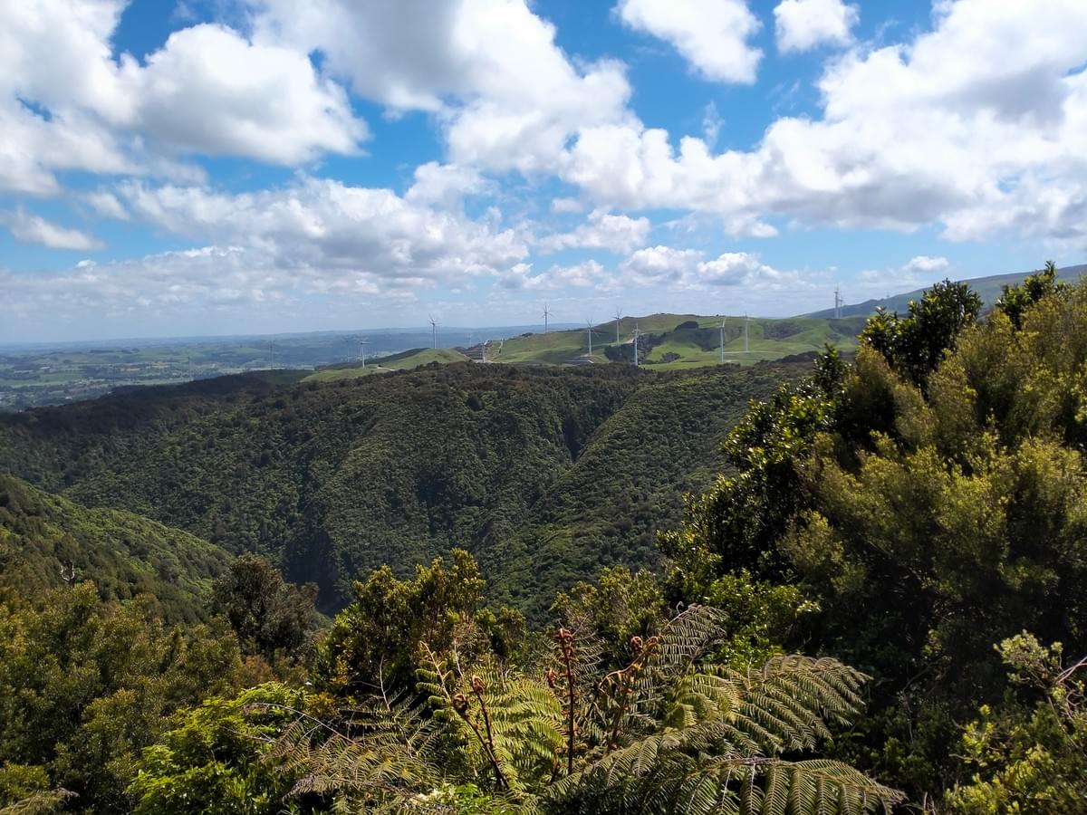 Manawatu Gorge Track