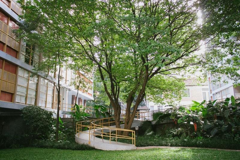 6 Curiosidades sobre Higienópolis - História Urbanismo