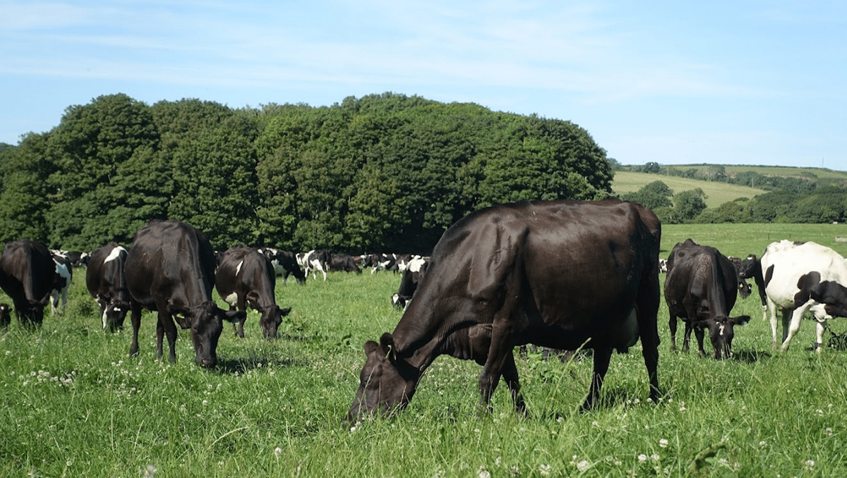 Panel Discussion: The Sustainable Farming Scheme - agpo...